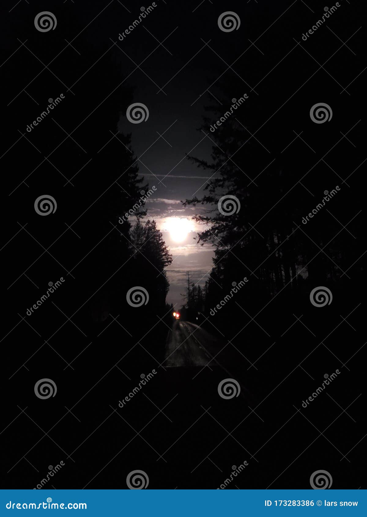 Midnight stock photo. Image of road, moon, trees, moonlight - 173283386