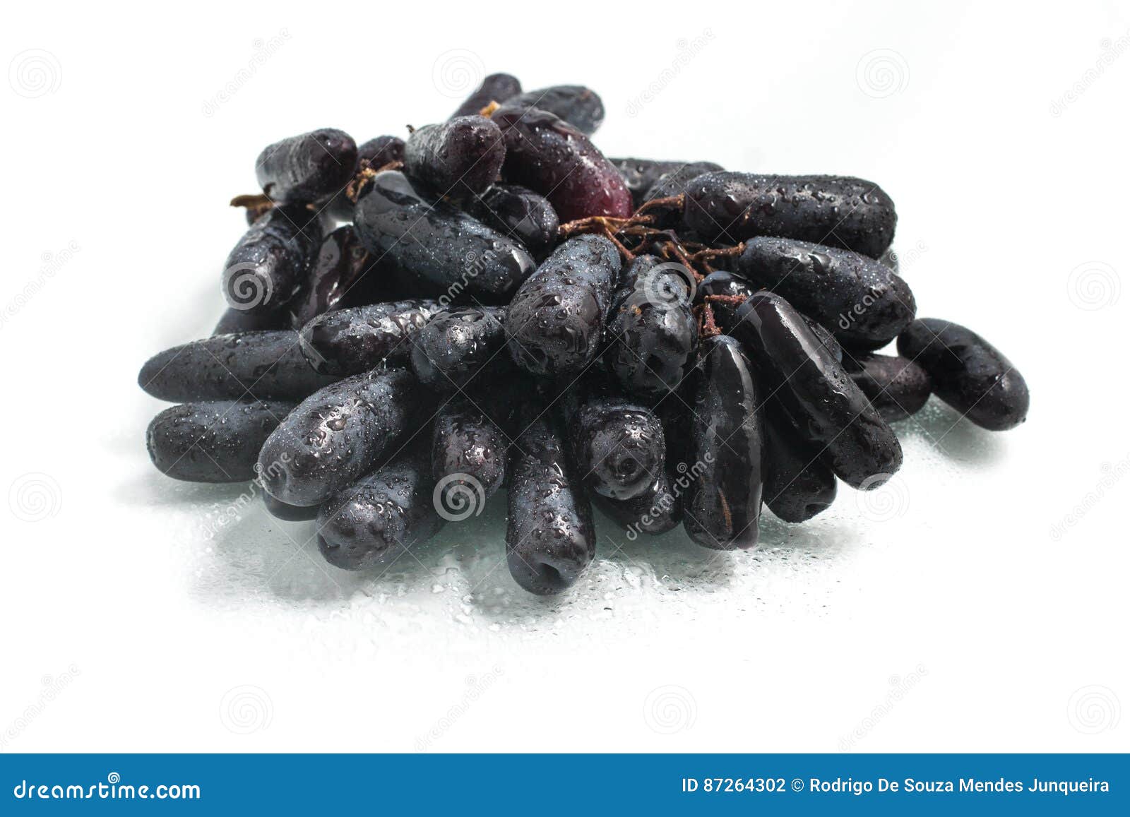 Black Grapes At Dawn Ready For Harvest Royalty-Free Stock Photography ...