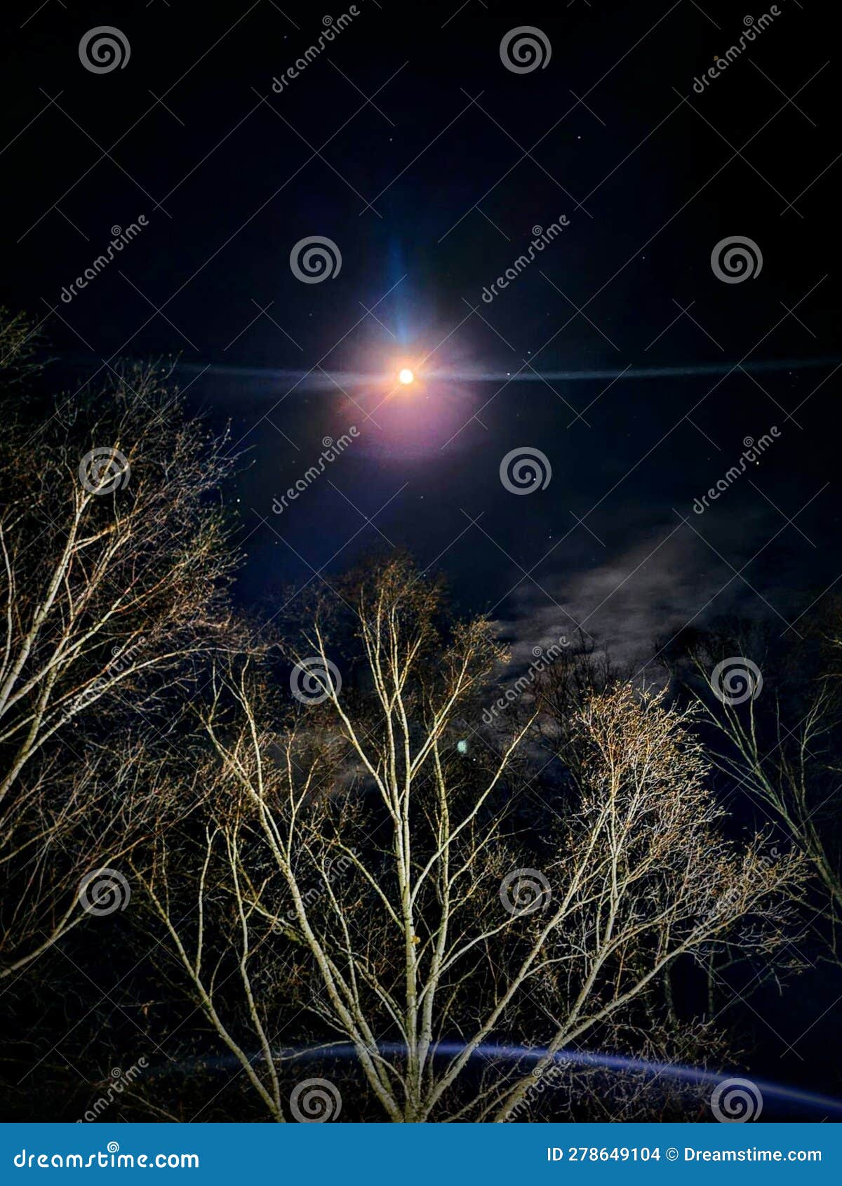 Moonlight Vibes Stock Photos - Free & Royalty-Free Stock Photos from ...