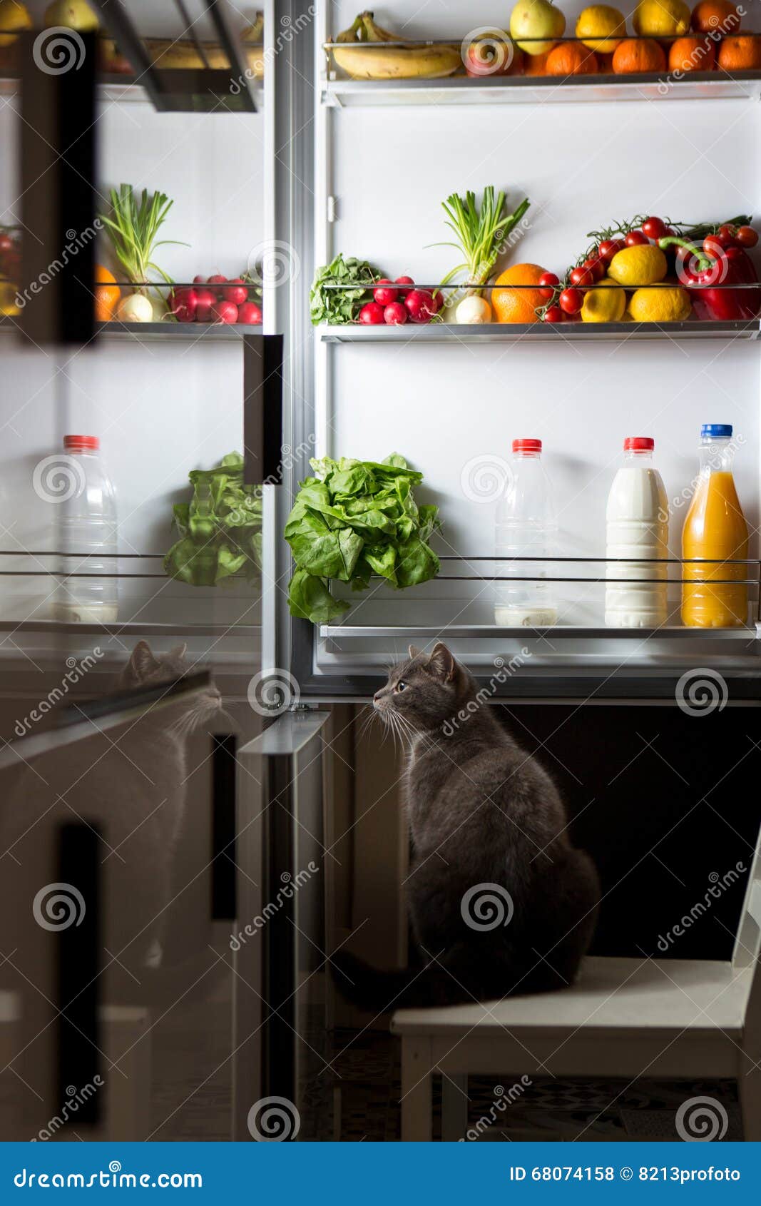 Midnight Snack, Looking into Fridge Stock Photo - Image of little ...