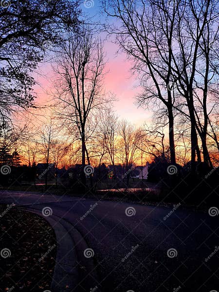 Midnight summer dream stock photo. Image of summer, midnight - 168052786