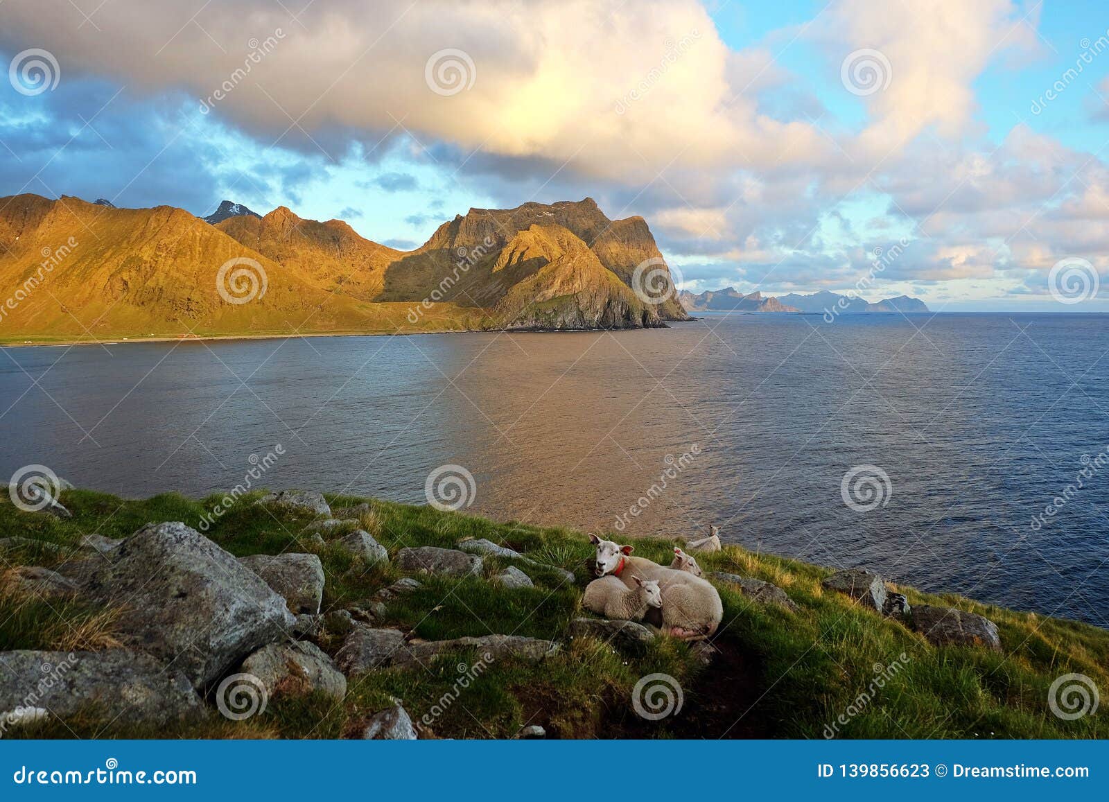 Midnight Sun on the Lofoten Islands, Norway Stock Image - Image of ...