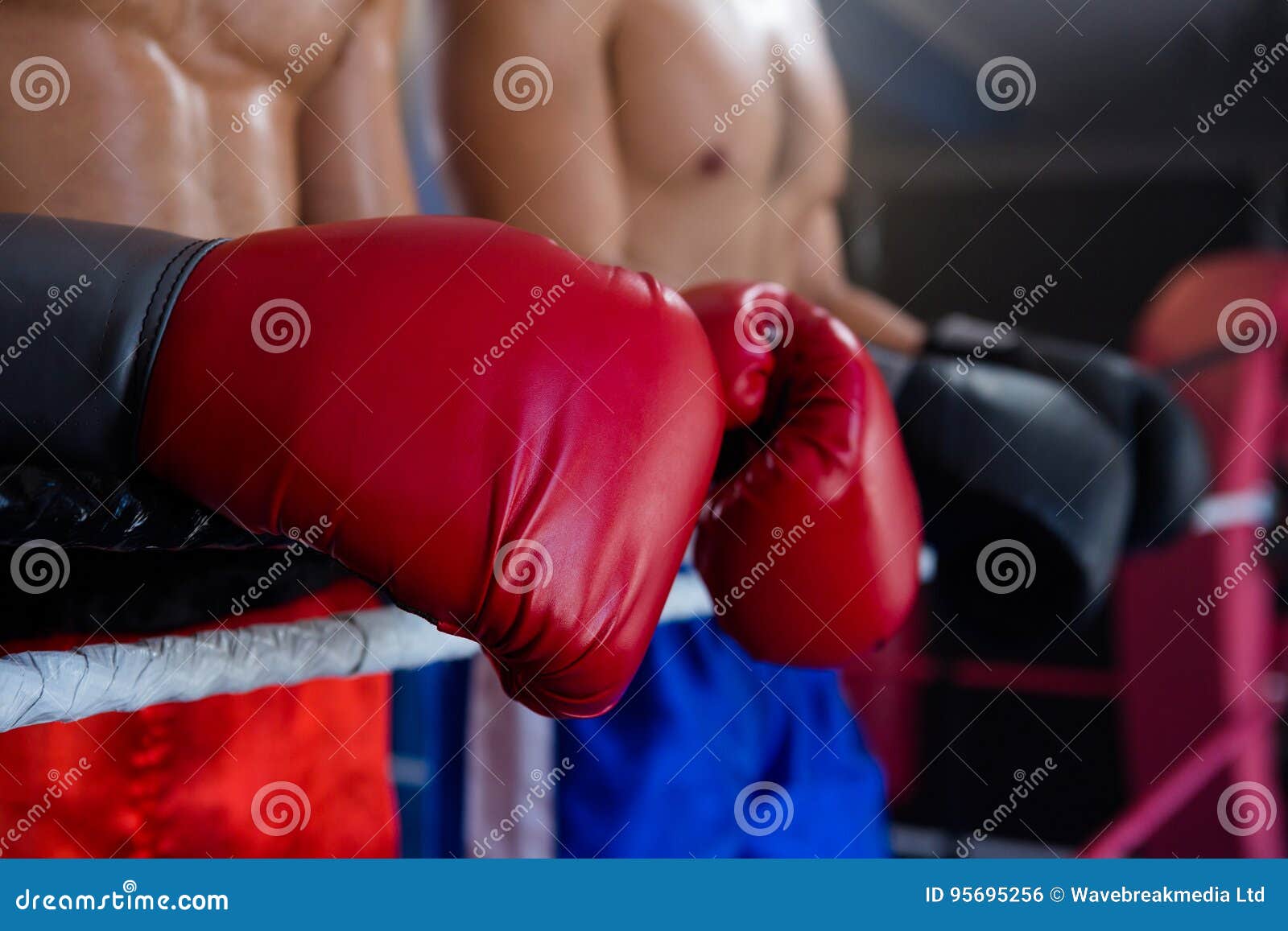 Midsection of Male Boxers Standing by Rope Stock Photo - Image of glove ...