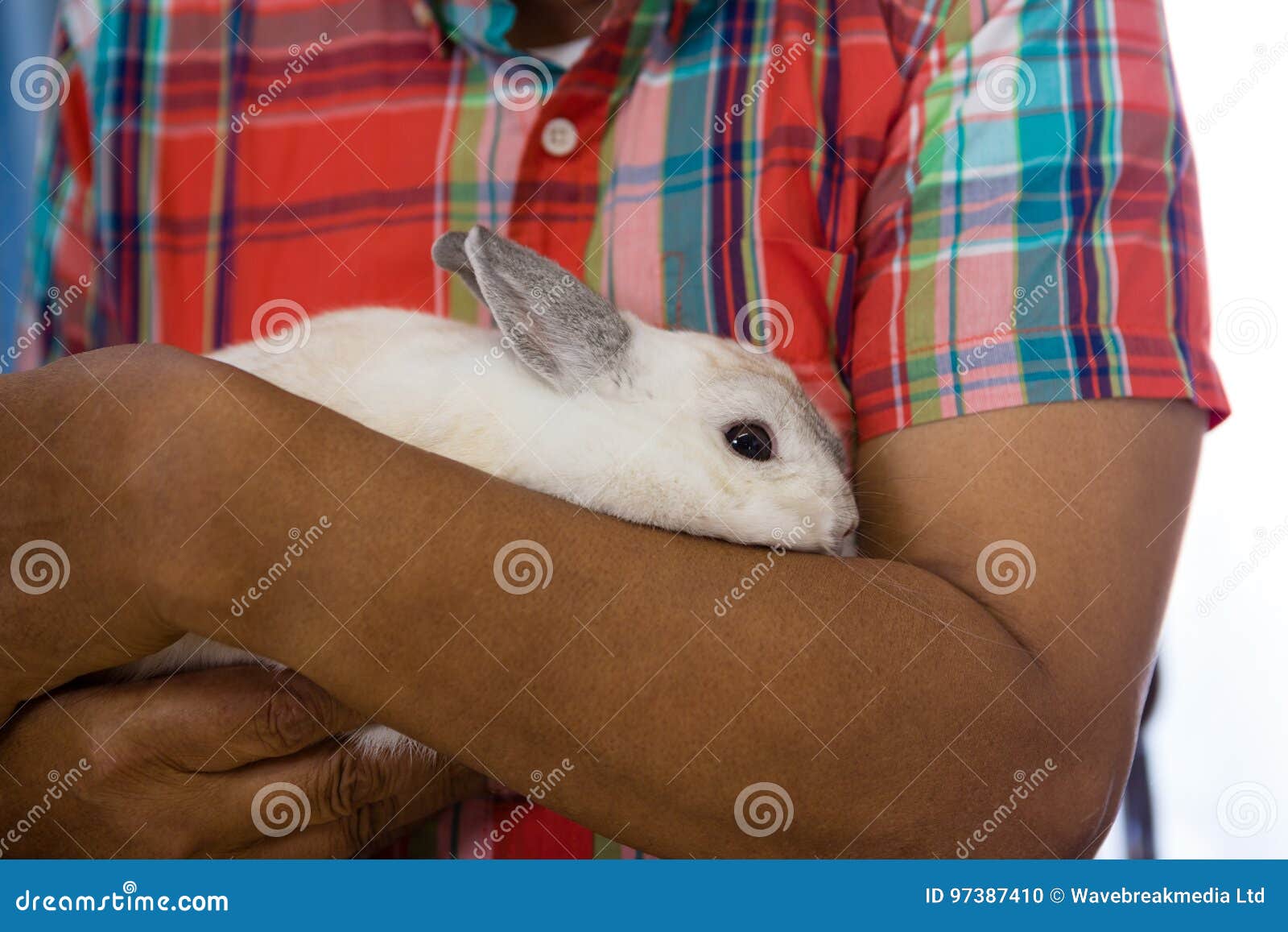 Midsection of Senior Man Holding Rabbit Stock Photo - Image of aged ...