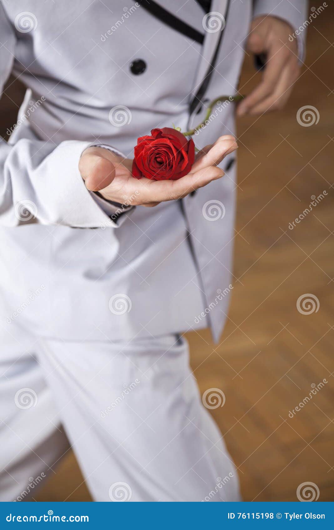 Midsection of Tango Dancer Holding Red Rose in Restaurant Stock Photo ...