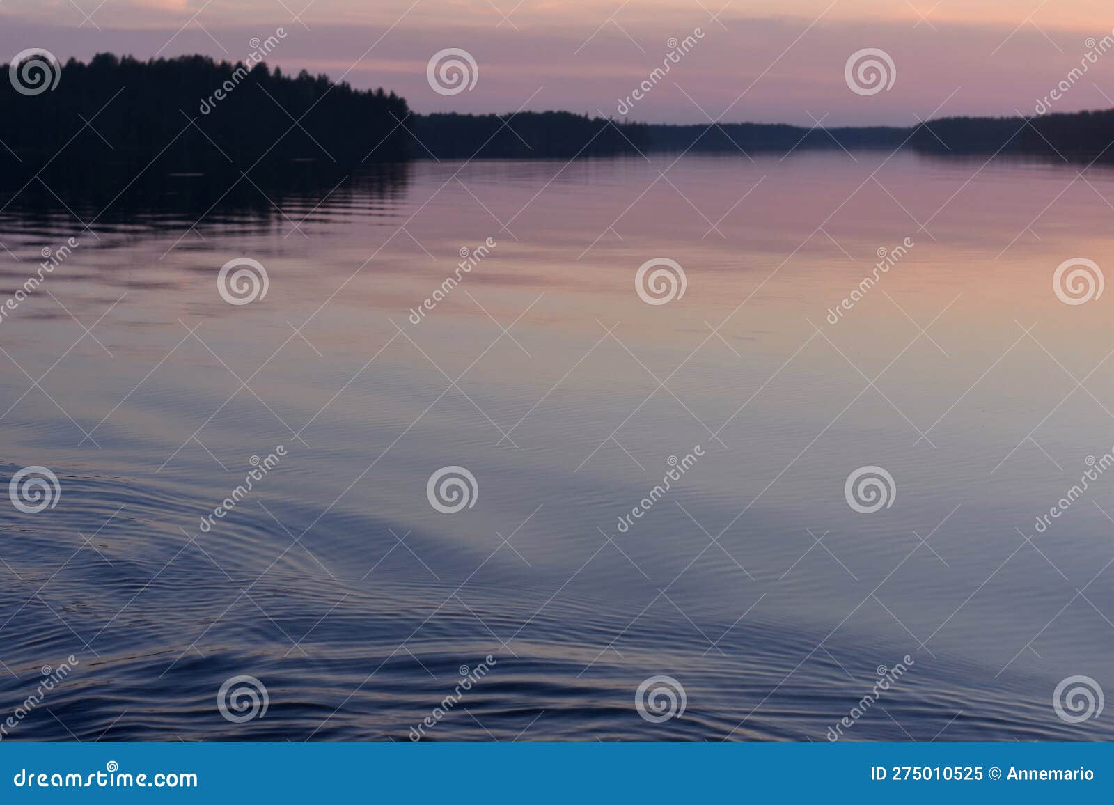 Midsummer Sunset Reflection on a Lake Stock Image - Image of pink ...