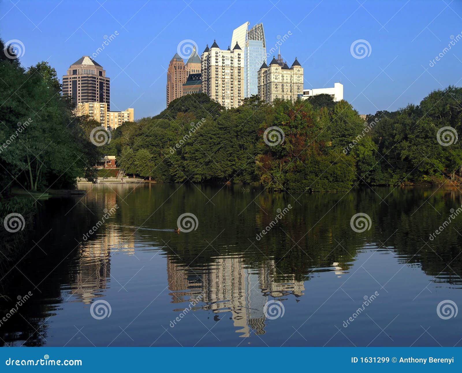 Midtown Reflection stock image. Image of tall, city, trees - 1631299