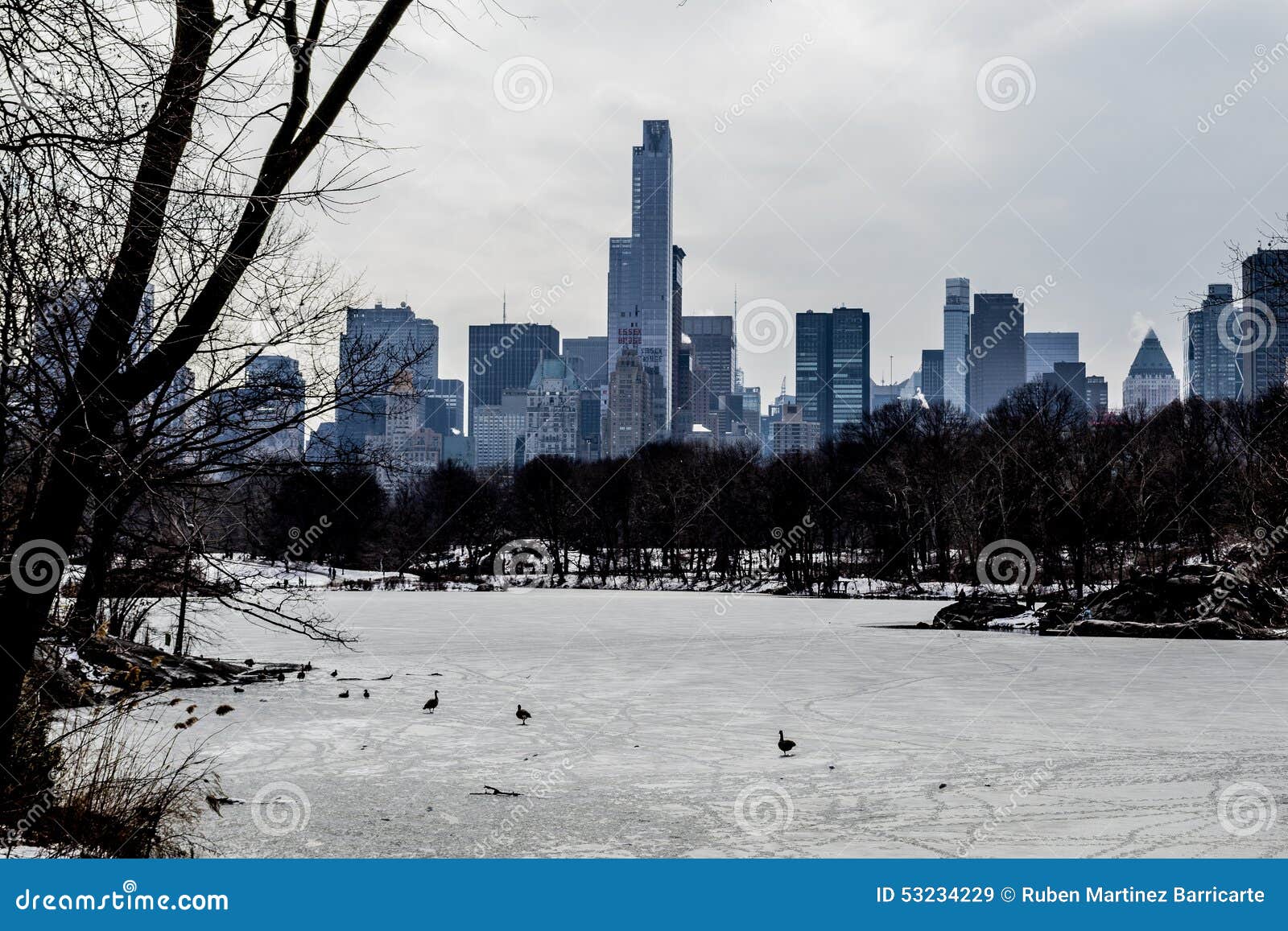 Midtown in Winter from Central Park Editorial Stock Image - Image of ...