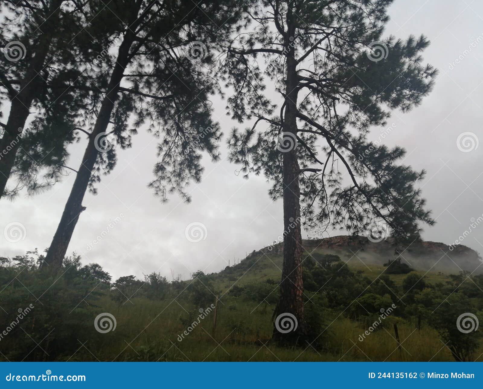 Midweek light rain drizzle stock photo. Image of cloudy - 244135162