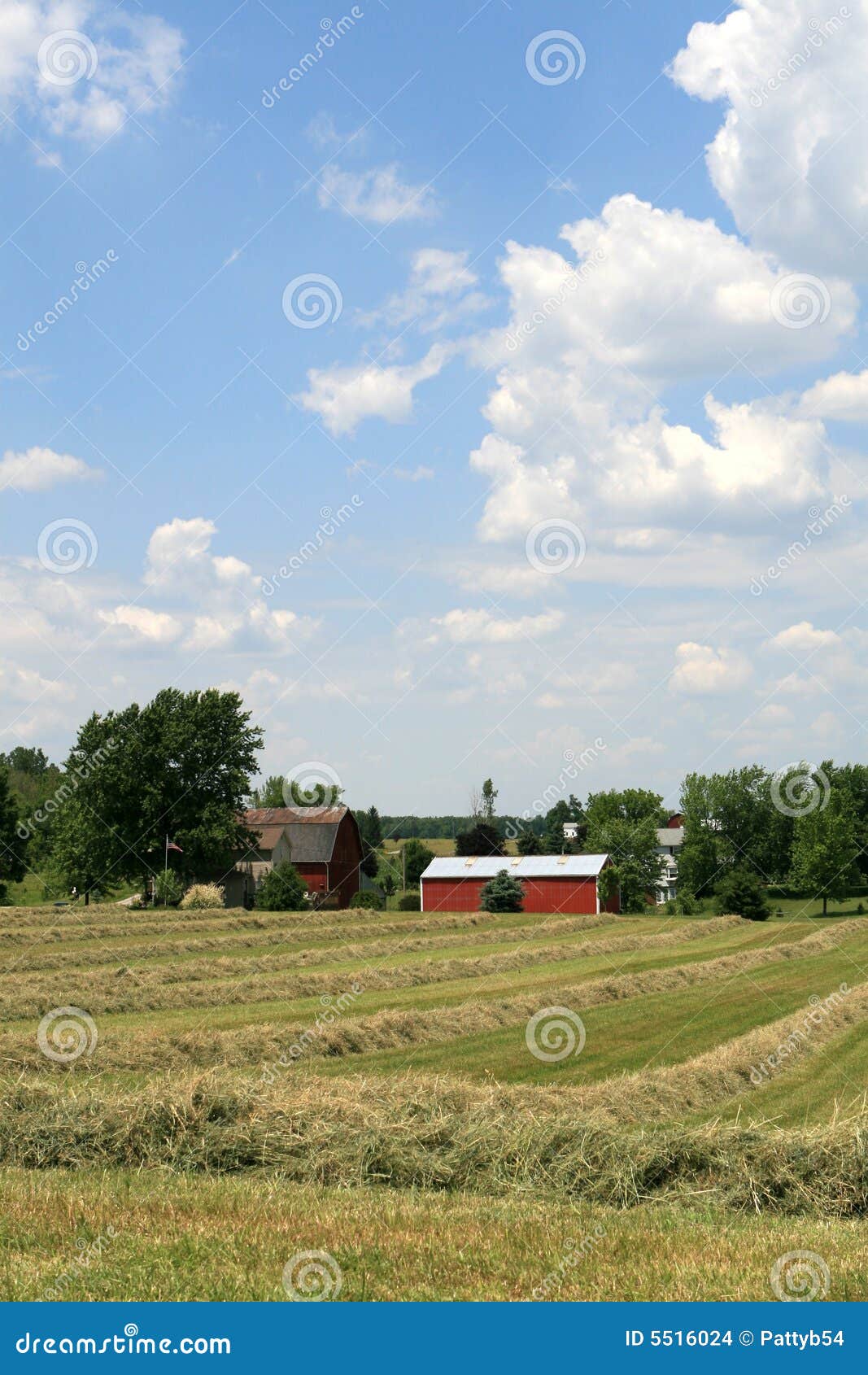 MidWest American Farm stock photo. Image of fields, hayfield - 5516024