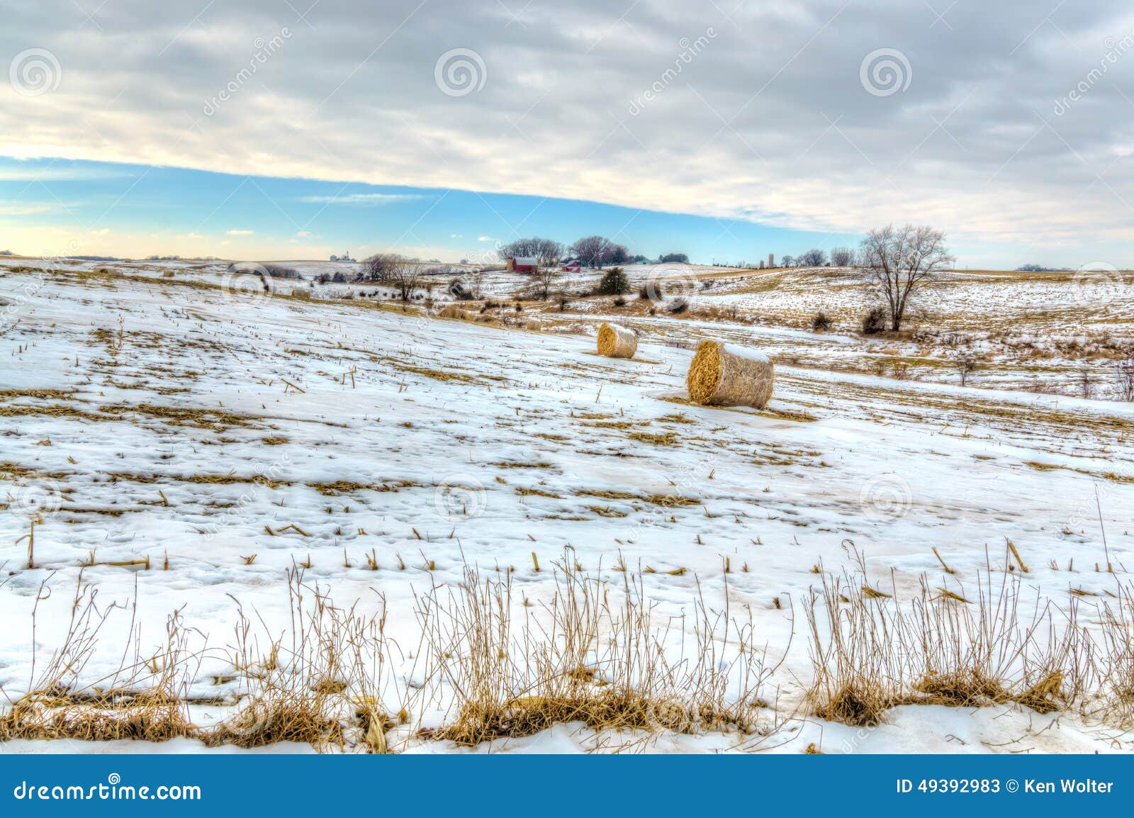 Midwest American Farm in Winter Stock Image - Image of frost, pasture ...