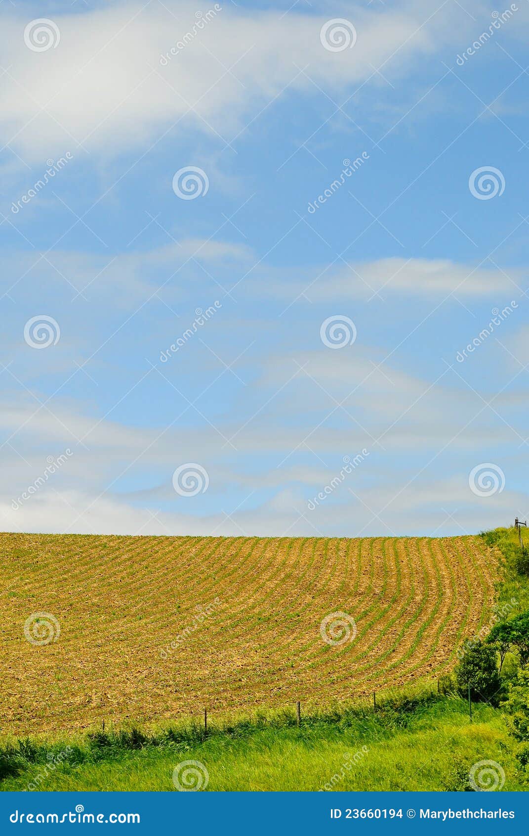 Midwest Crop Field stock photo. Image of urban, farmland - 23660194