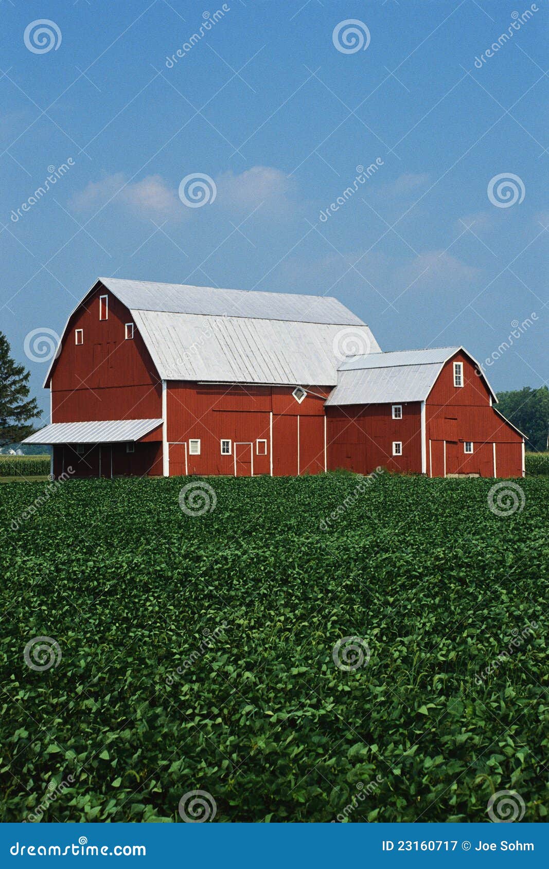 Midwest farm stock image. Image of vertical, maize, field - 23160717