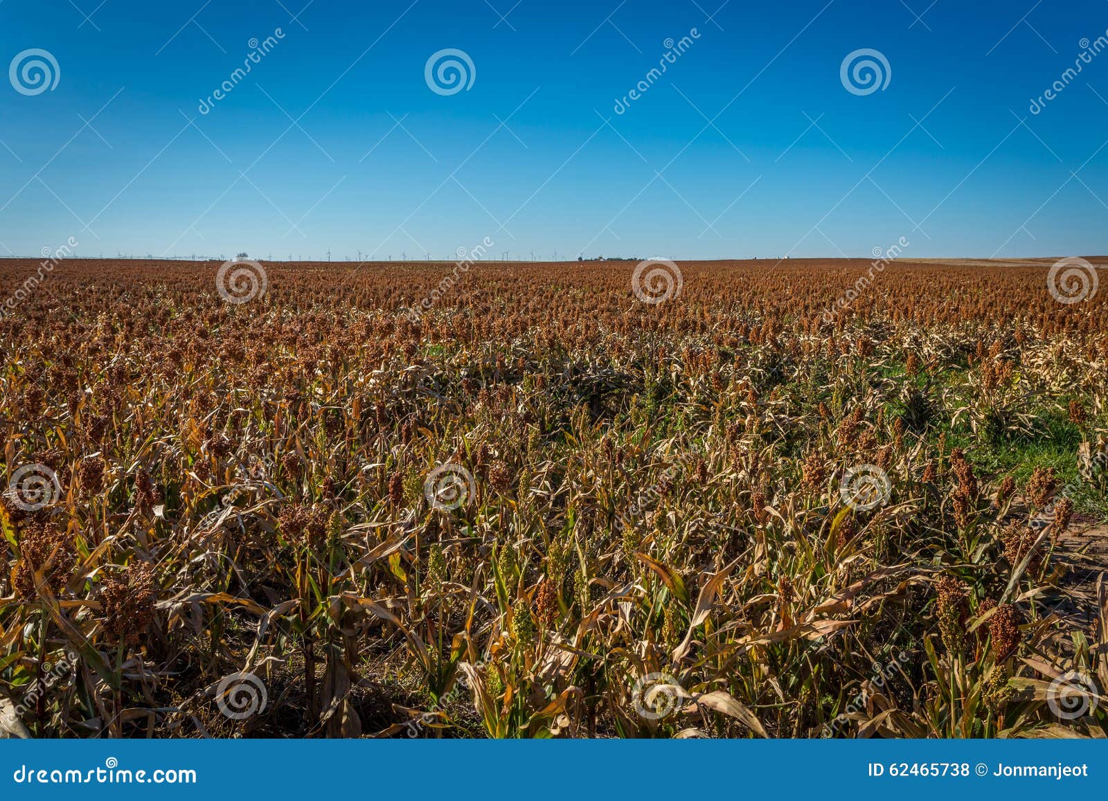 Midwest Farming stock photo. Image of grain, combine - 62465738