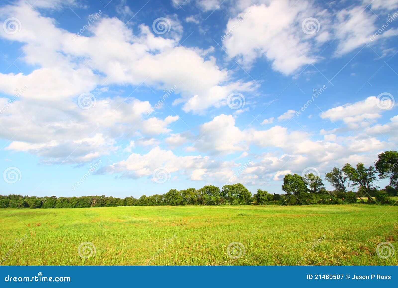 Midwest Prairie Scenery stock image. Image of cloud, wild - 21480507