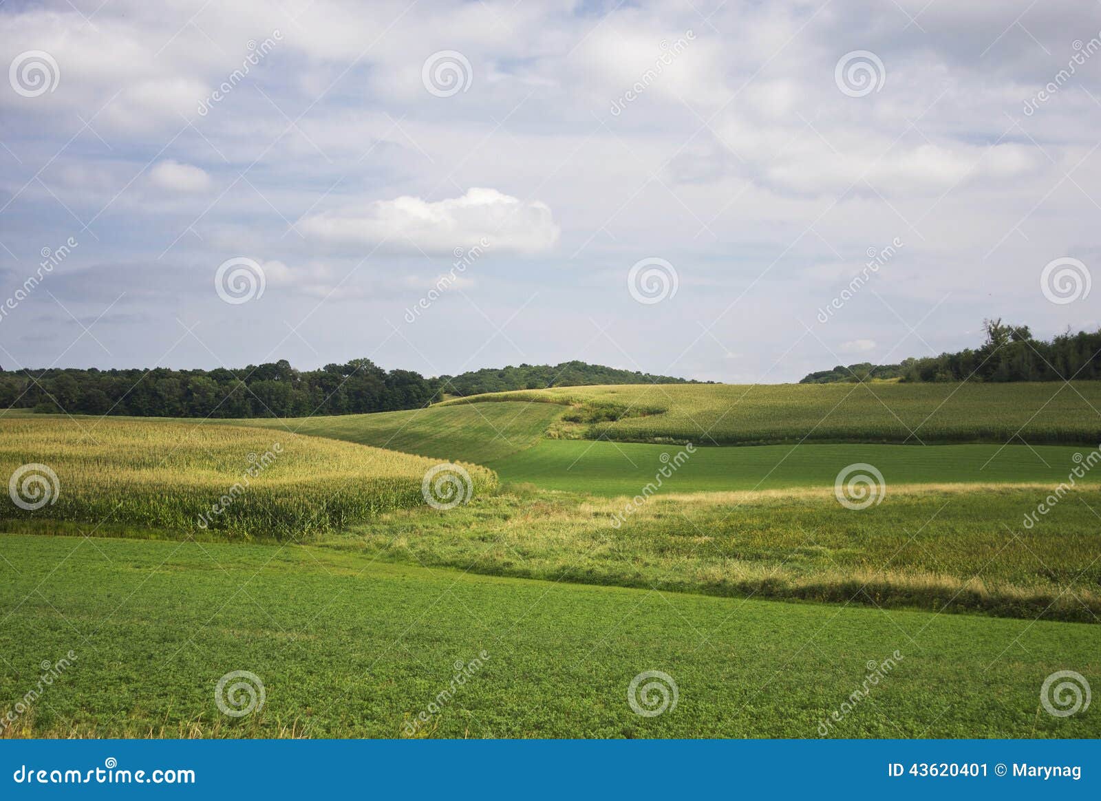 Midwest rural landscape stock image. Image of wisconsin - 43620401