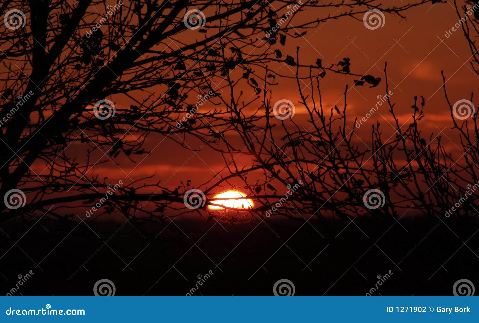 Midwest sunset stock photo. Image of landscape, orange - 1271902