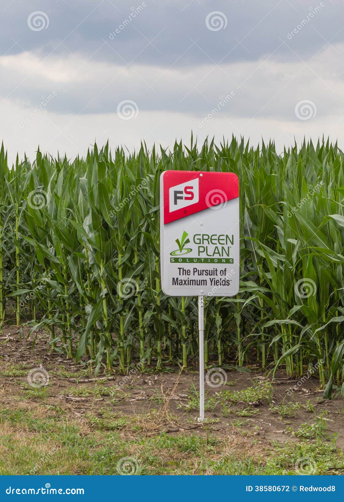 Test Plot Harvest Royalty-Free Stock Photo | CartoonDealer.com #84134775