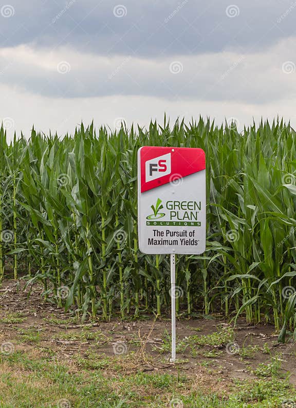 Midwest USA Seed Corn Test Plot Editorial Photography - Image of ...