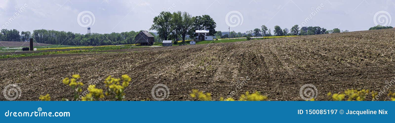 Midwestern Farmstead Panorama Stock Image - Image of illinois, flowers ...