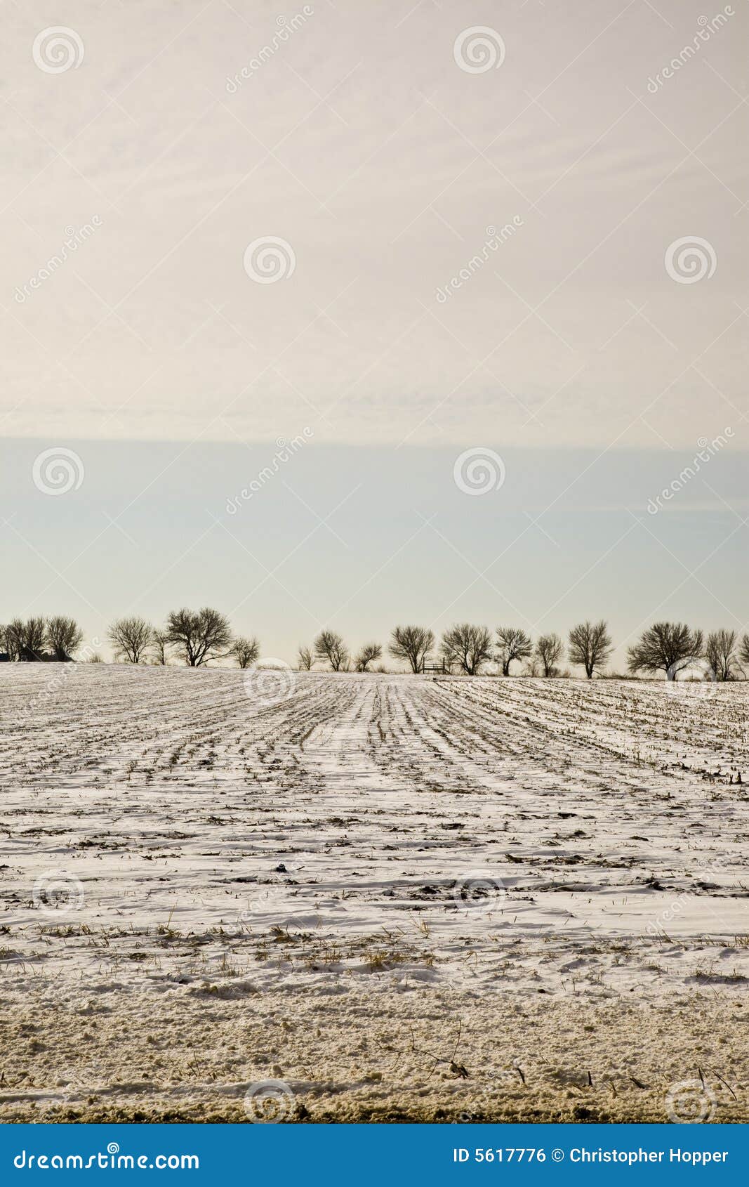 Midwestern Winter Landscape Stock Photo - Image of farm, agriculture ...