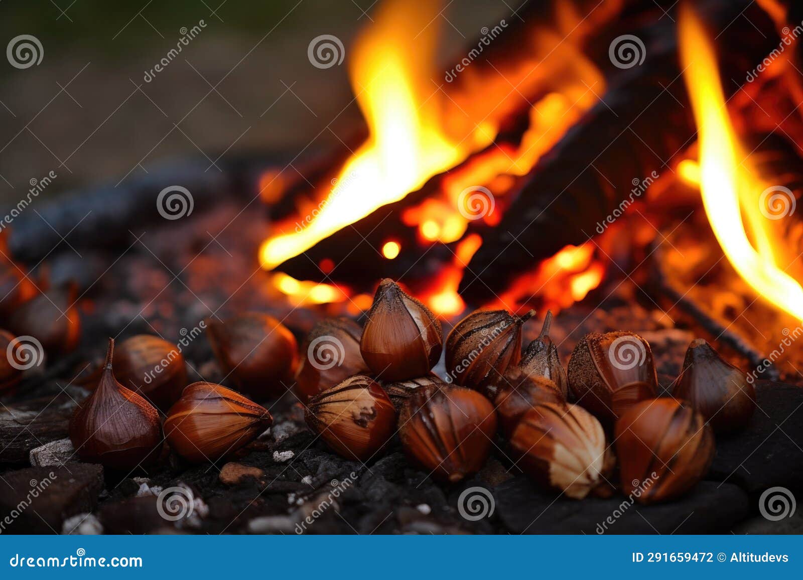 Midwinter Roasted Chestnuts on an Open Fire Stock Photo - Image of cozy ...