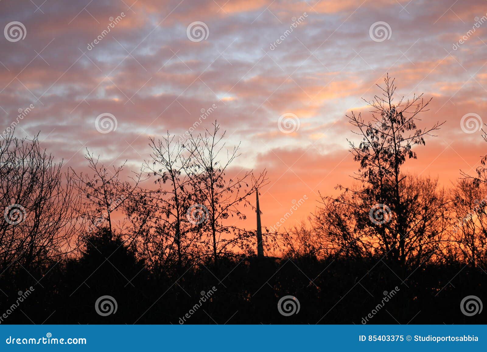 A midwinter sunrise stock image. Image of cold, winter - 85403375