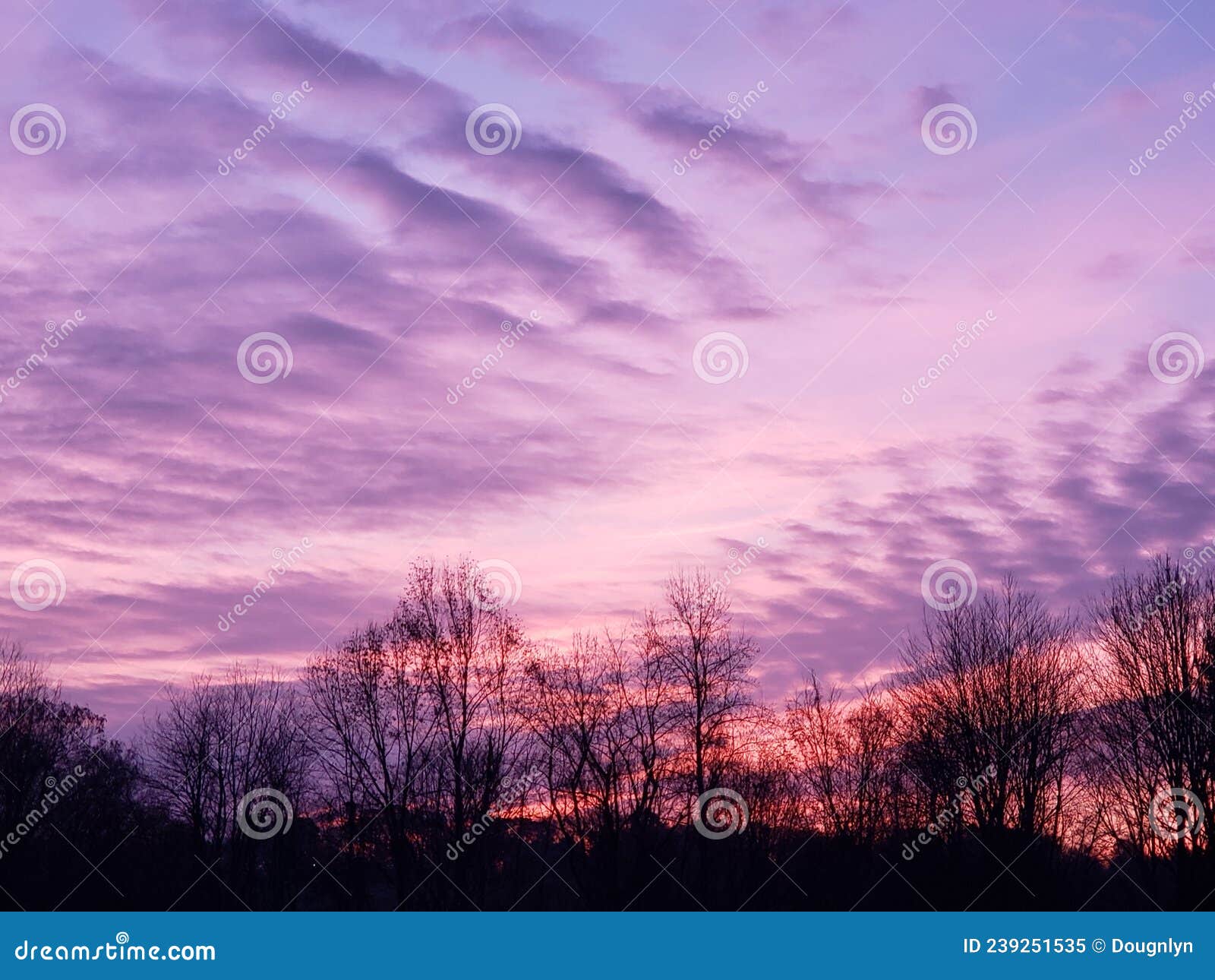 Midwinter Sunset in New England Stock Image - Image of glow, midwinter ...