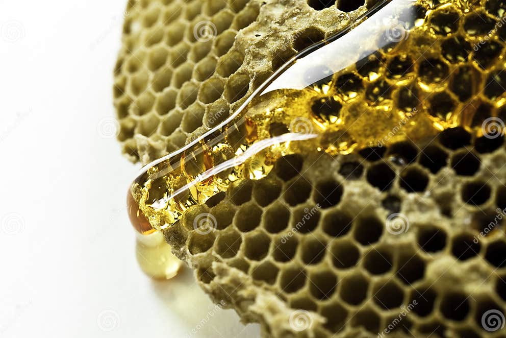 Miel imagen de archivo. Imagen de primer, sano, panal - 22427063