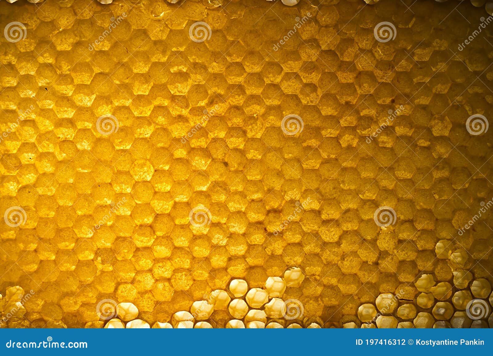 Miel en el marco foto de archivo. Imagen de modelo, fondo - 197416312