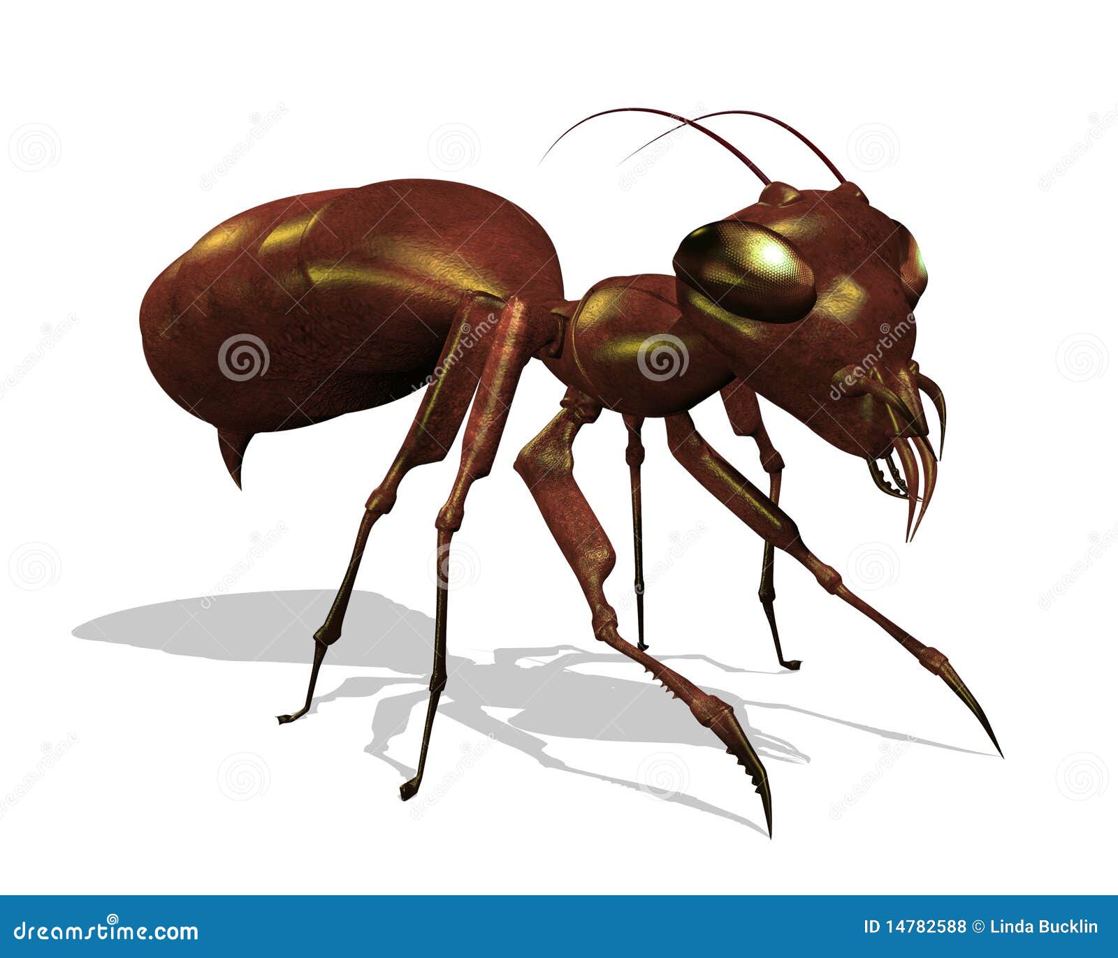 Mier - Extreme Dichte Omhooggaand Stock Illustratie - Illustration of ...