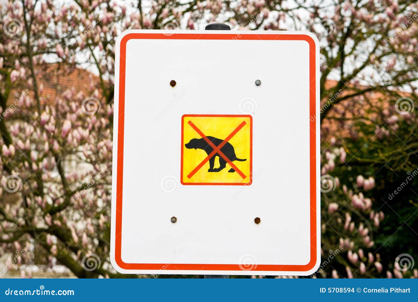 Mierda de perro prohibida foto de archivo. Imagen de animal - 5708594