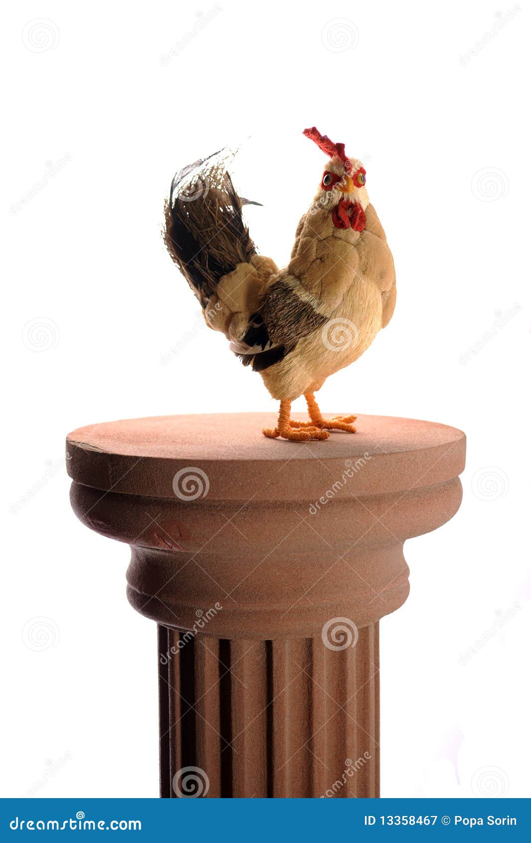 The Mighty Chicken stock image. Image of dangerous, chicken - 13358467