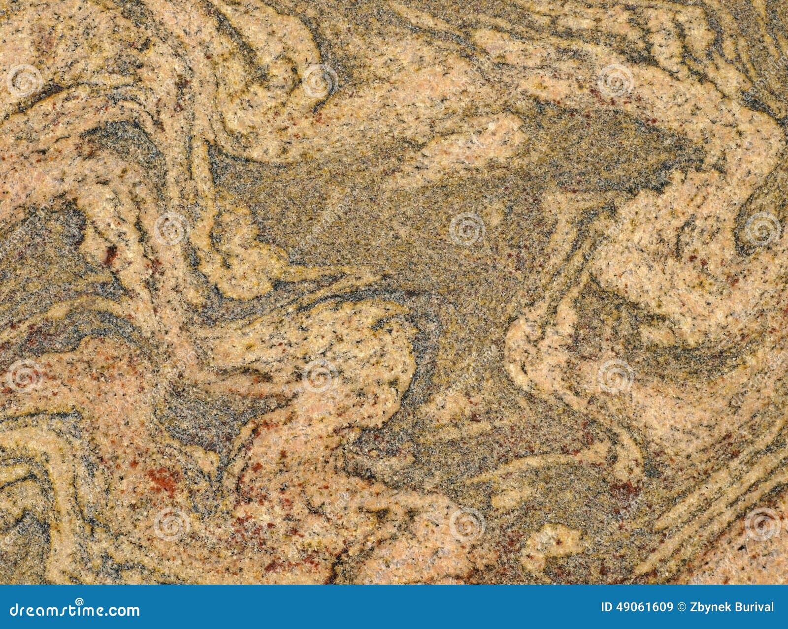 Rough Migmatite Rock Texture Royalty-Free Stock Image | CartoonDealer ...