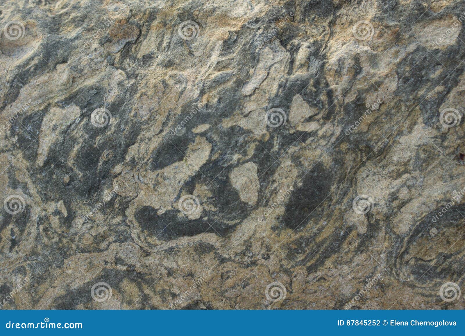 Migmatite. Texture. stock photo. Image of light, tracery - 87845252