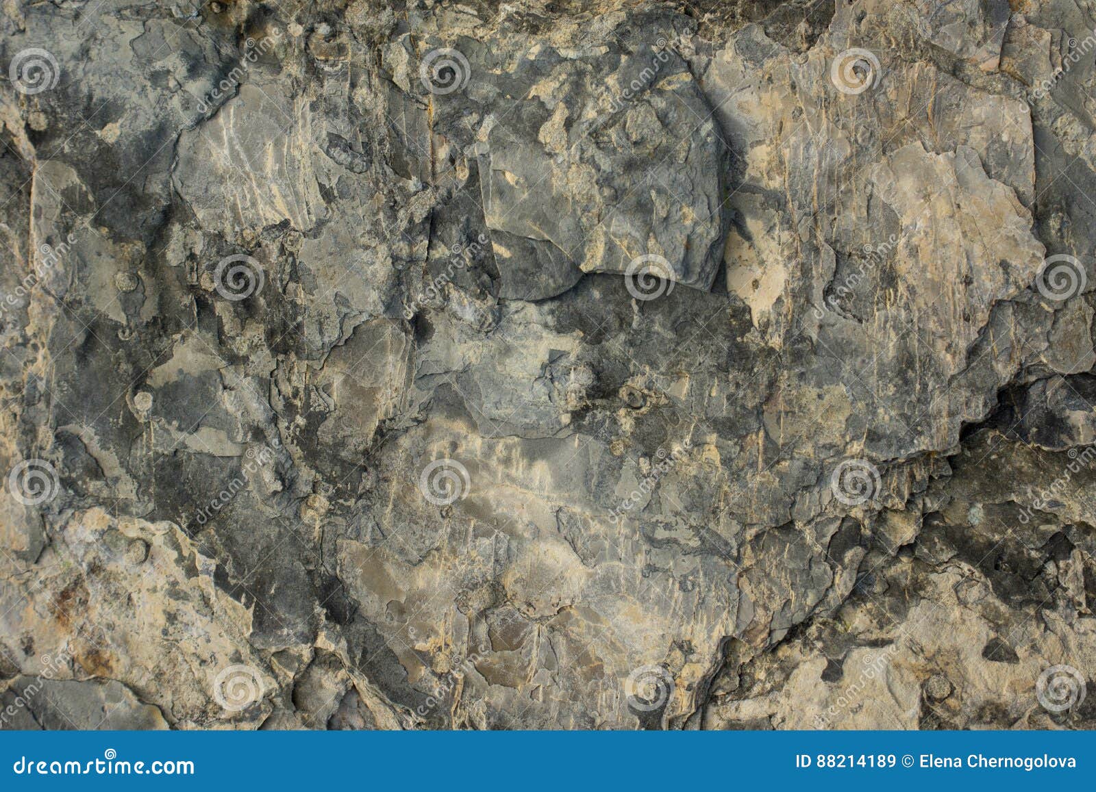 Migmatite. Texture. stock image. Image of surface, migmatite - 88214189