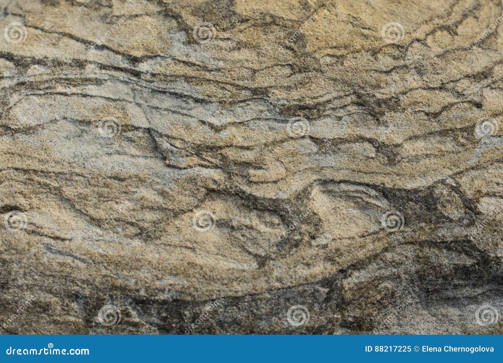 Migmatite. Texture. stock image. Image of gneiss, patterns - 88217225