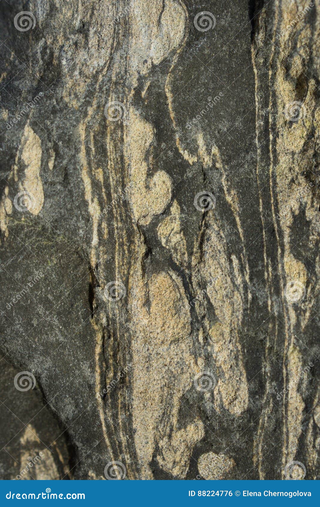 Migmatite. Texture. stock photo. Image of patterns, migmatite - 88224776
