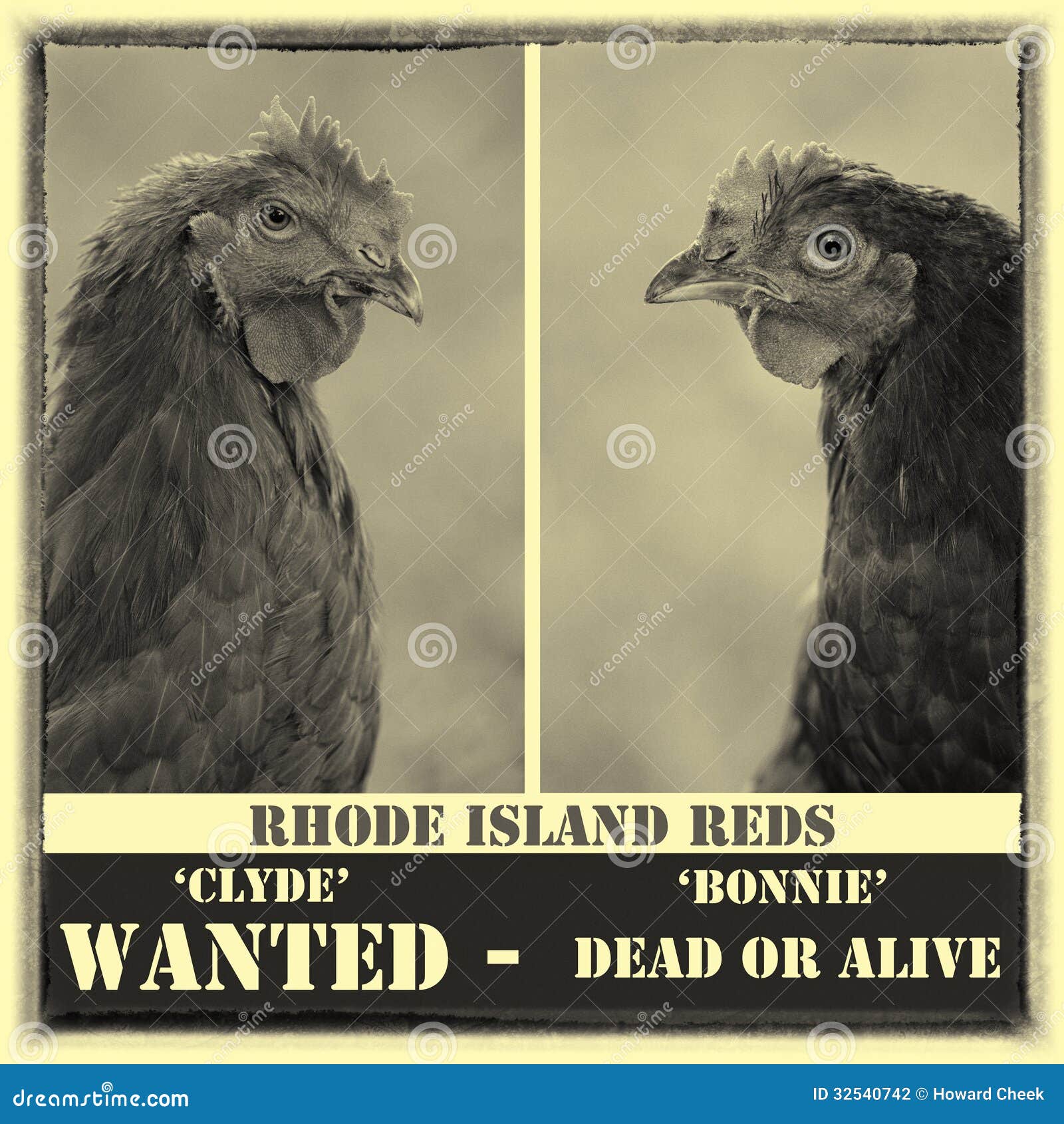 Mignon Et Clyde Wanted Poster Photo stock - Image du sépia, rouge: 32540742