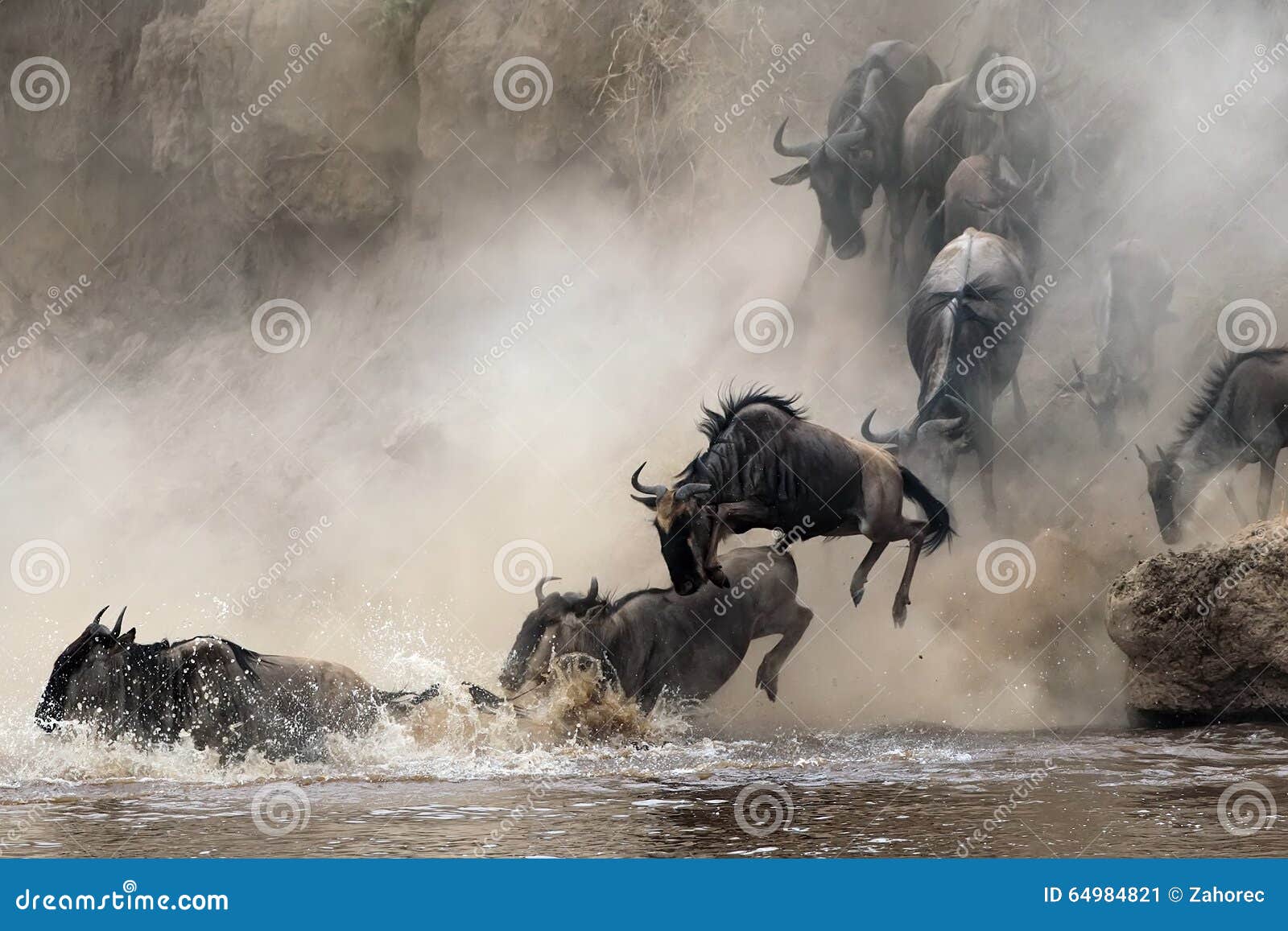 Migratie Van Het Meest Wildebeest Stock Afbeelding - Image of stoffig ...