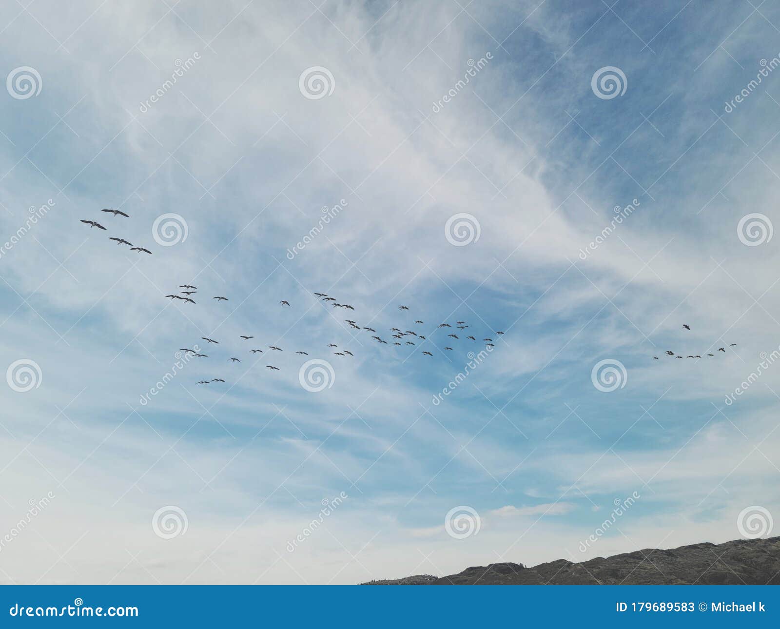 Migrating Birds Heading South Stock Image - Image of horizon, animal ...