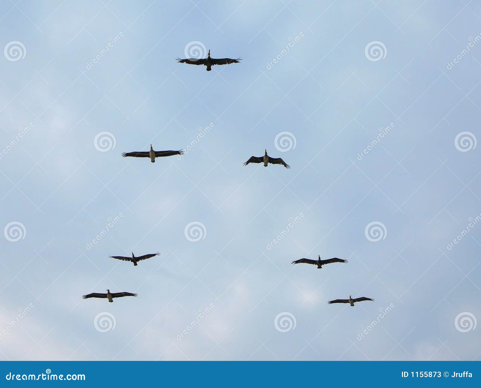 Migrating south stock image. Image of birds, north, bird - 1155873