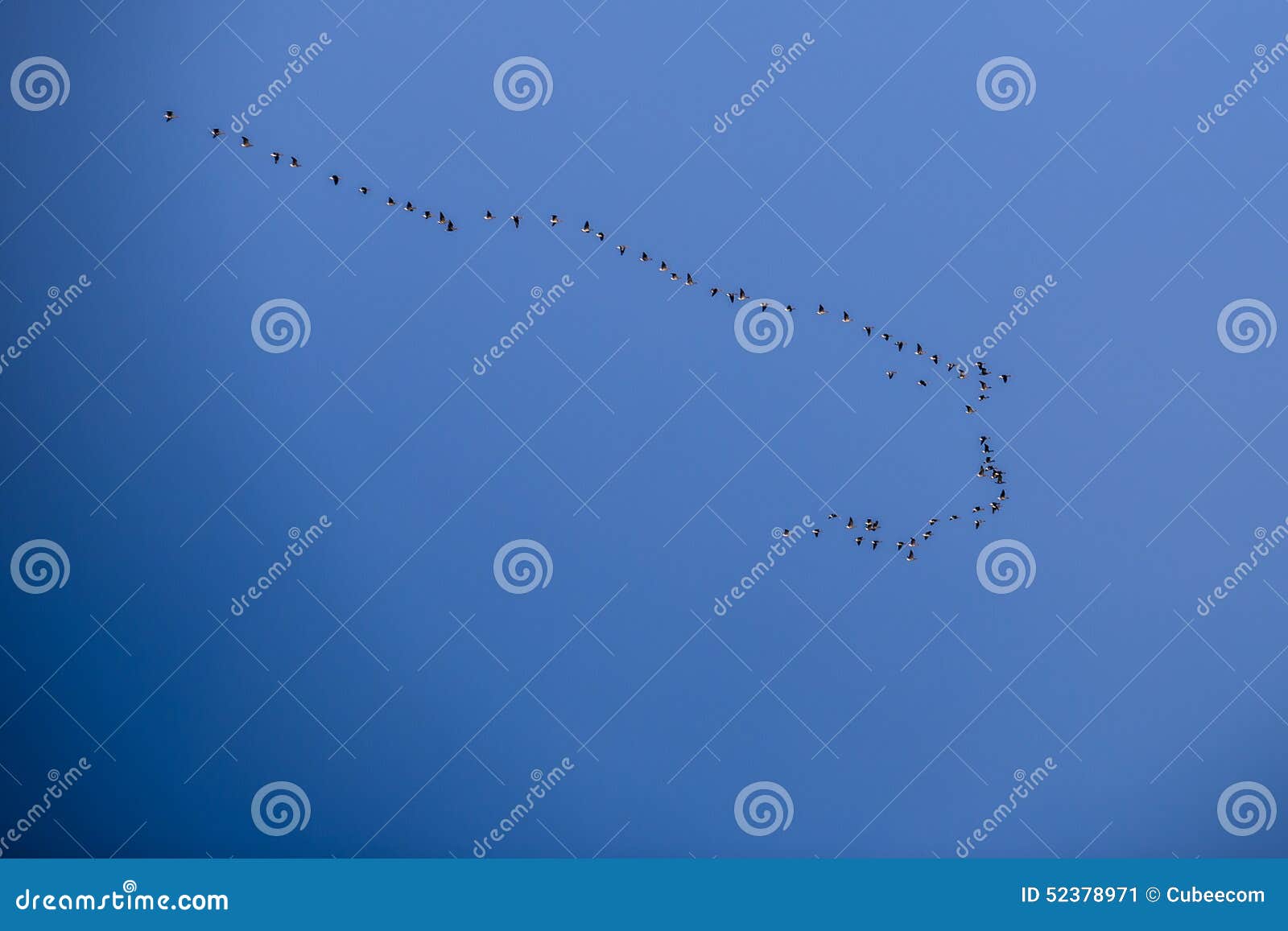 Migration of birds south stock image. Image of flock - 52378971