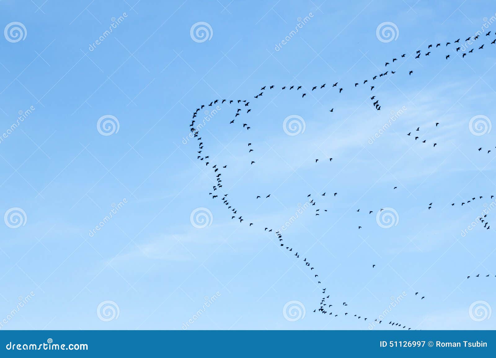 Migration of birds stock image. Image of blue, formation - 51126997