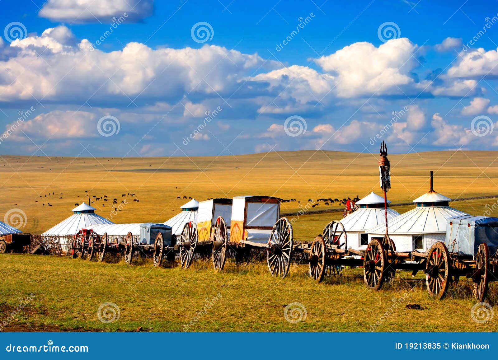 Migration Transport stock image. Image of outdoors, mongolia - 19213835