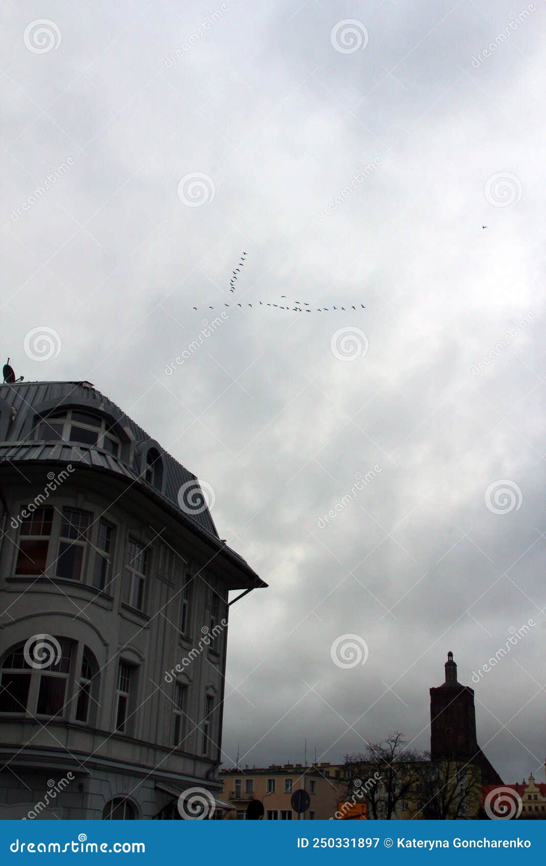 Migratory Birds Flying in Cloudy Sky Over Town Houses Building ...