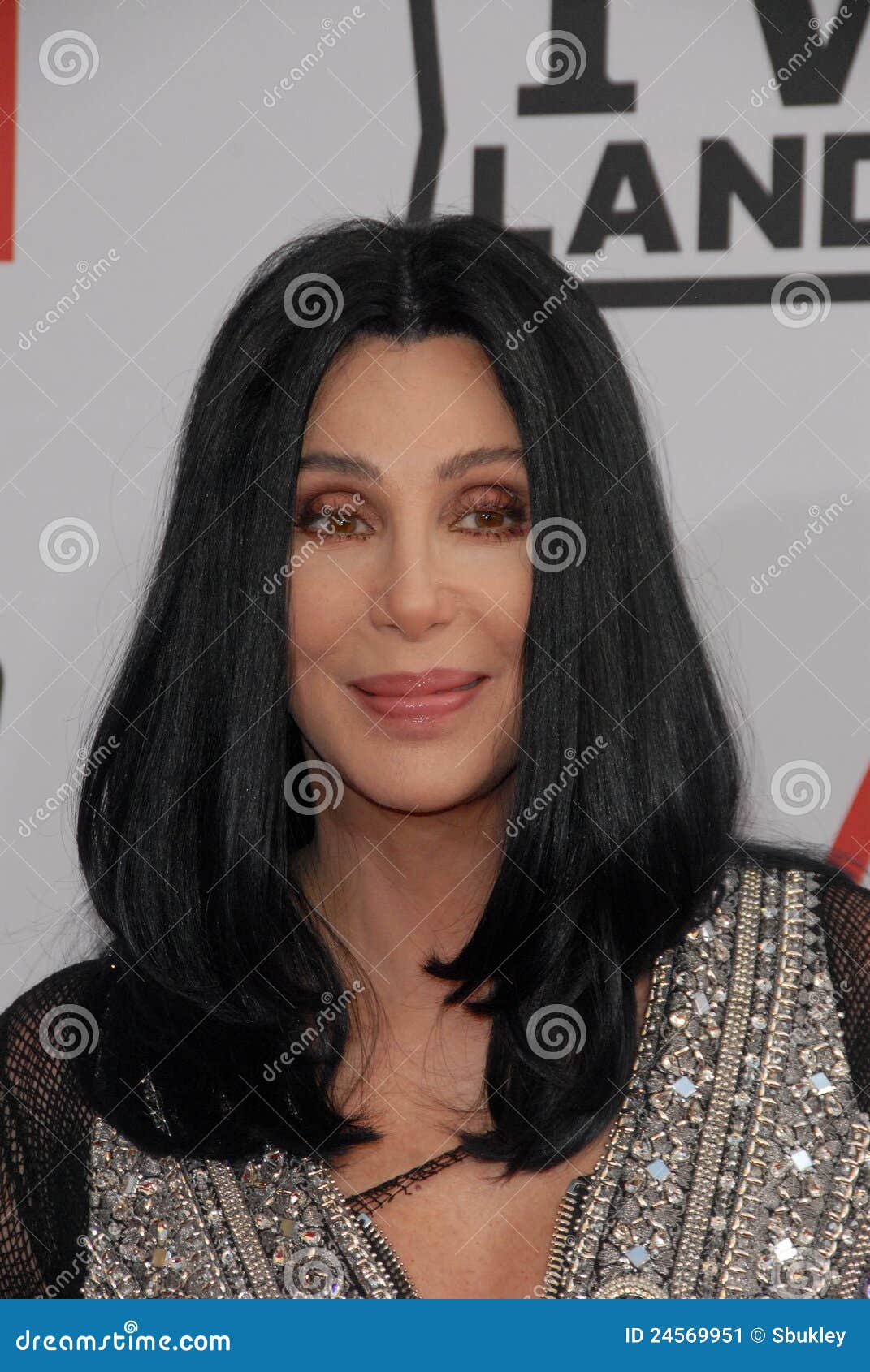 Mike Nichols,Cher editorial photo. Image of sony, nichols - 24569951