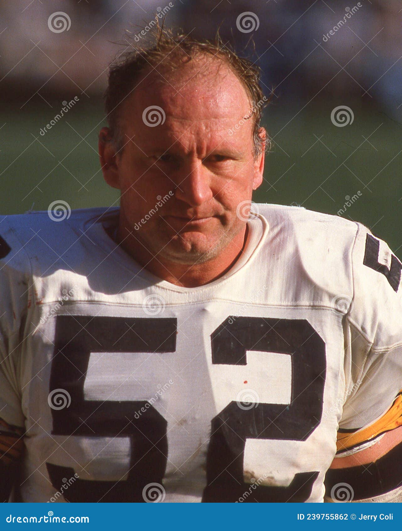 Mike Webster, Pittsburgh Steelers Editorial Photography - Image of ...