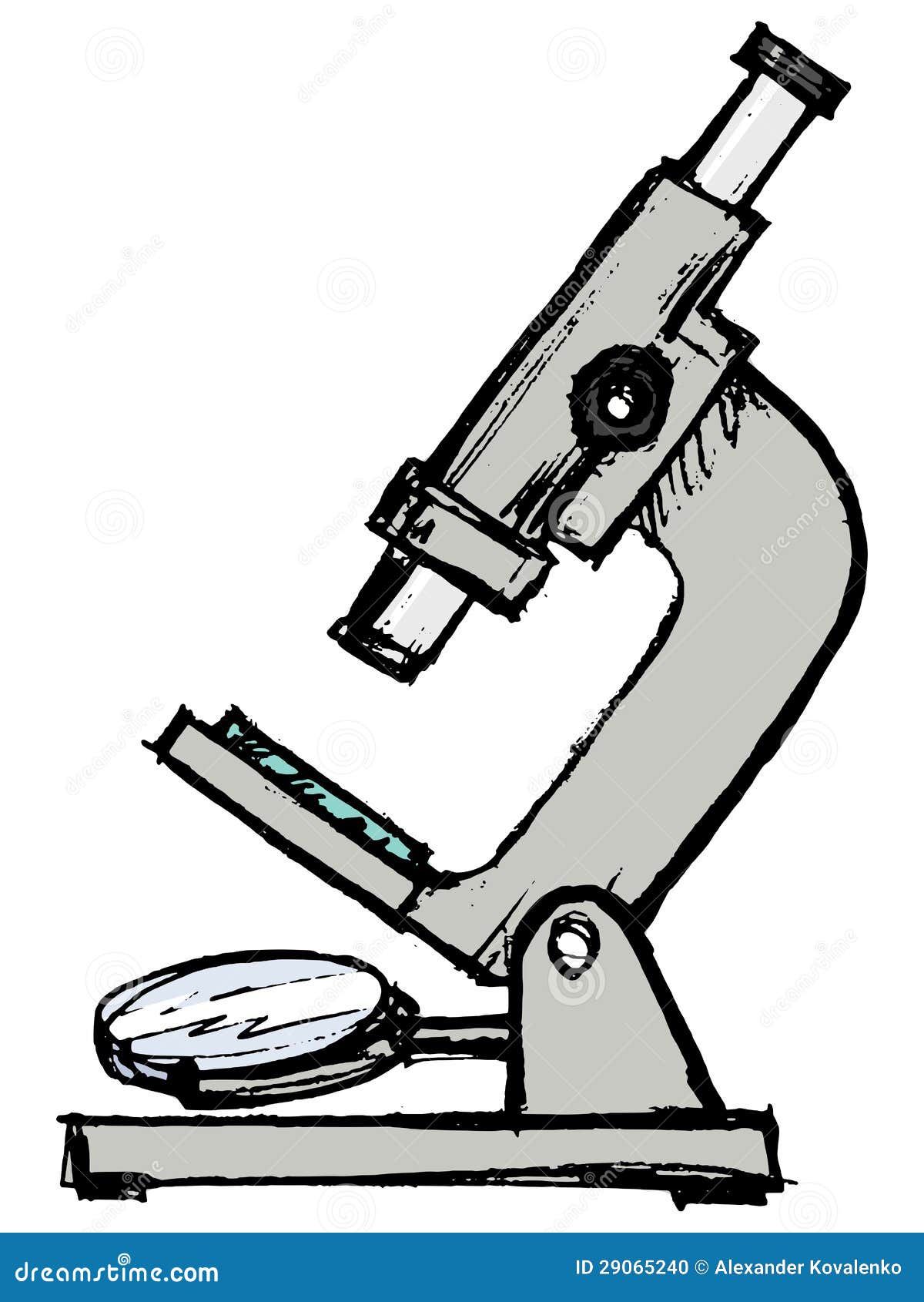Mikroskop vektor abbildung. Illustration von mikro, forschung - 29065240
