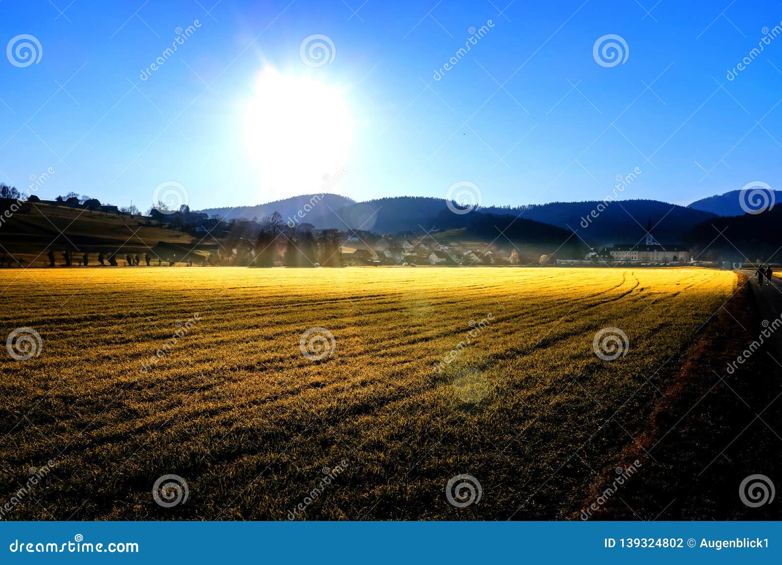 Mild winter sun stock photo. Image of icon, circle, spring - 139324802